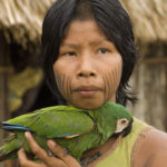 The Kayapo People - ICF