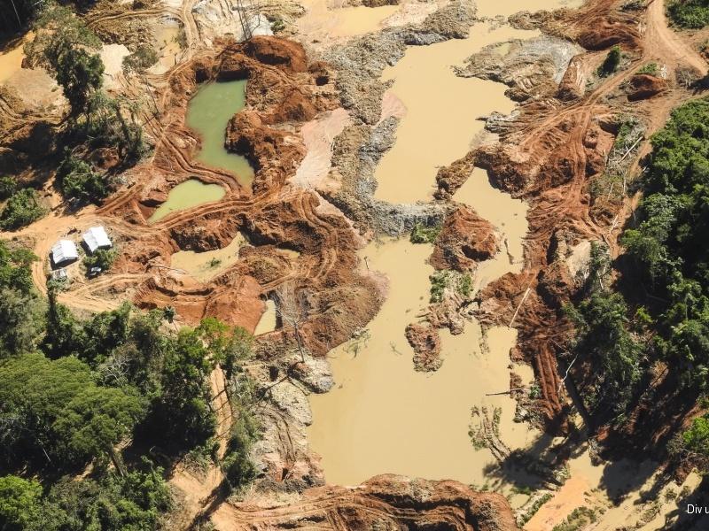 Xingu - ICF