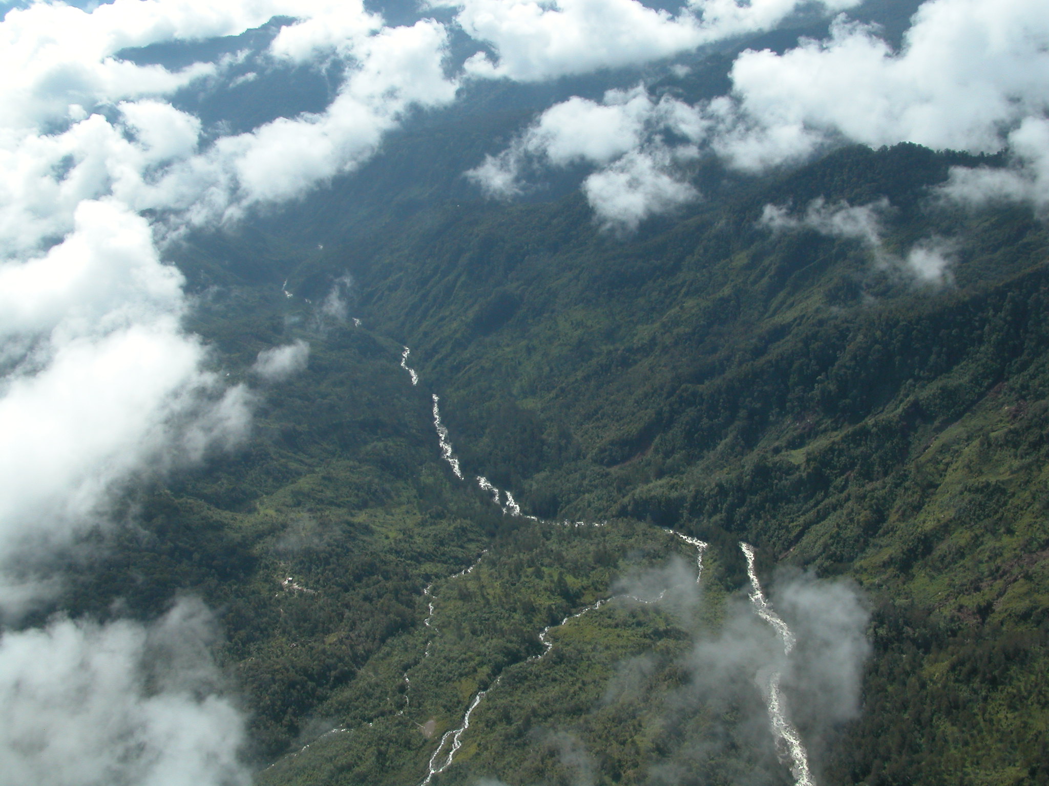 The Yali People - ICF