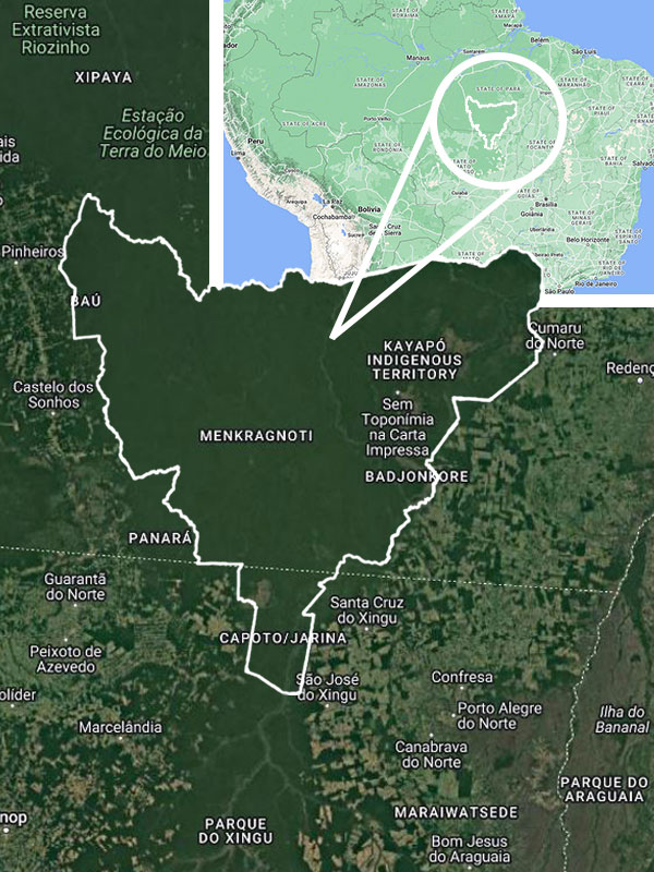 The Kayapo Project - ICF