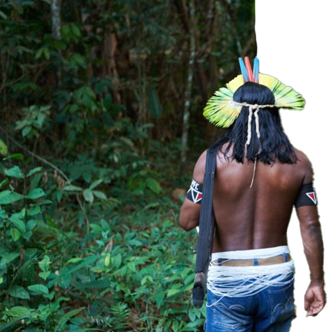 The Kayapo Project - ICF
