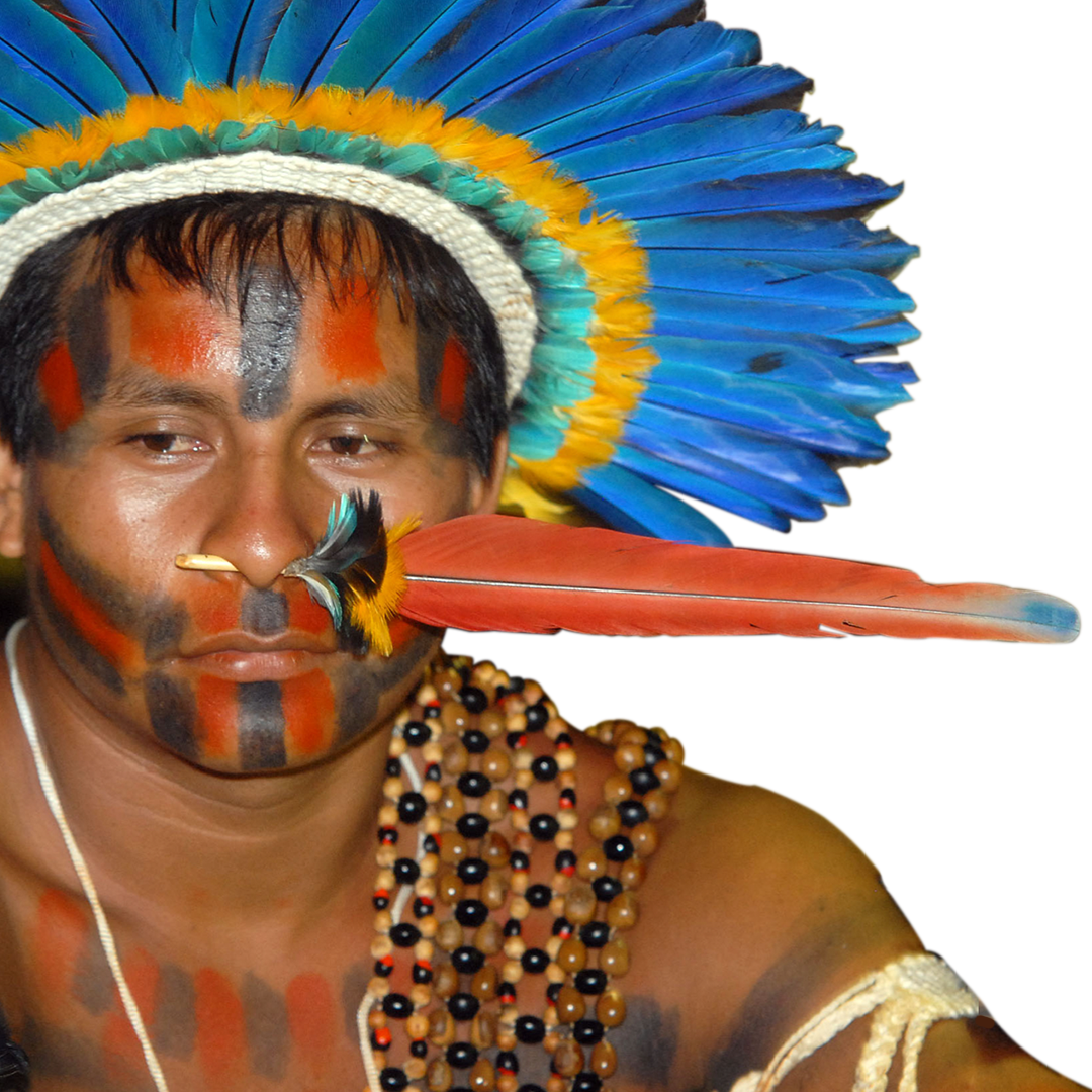 Indigenous Peoples - ICF