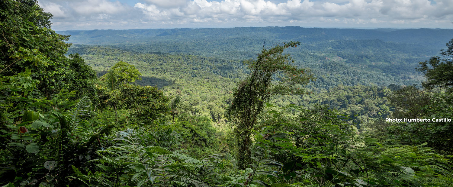 Home International Conservation Fund - ICF