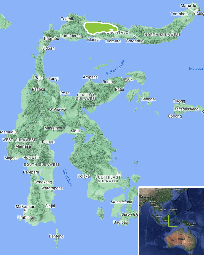 Protecting the Nantu Forest - ICF