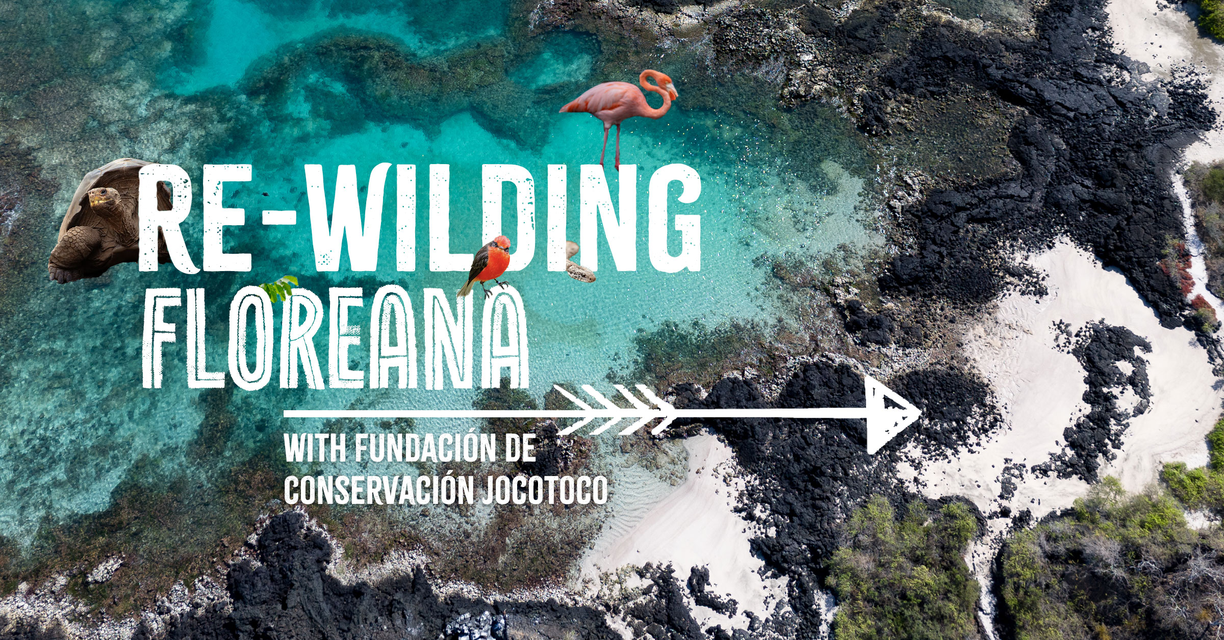 Home International Conservation Fund - ICF