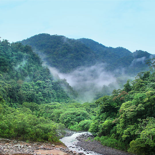 Home International Conservation Fund - ICF